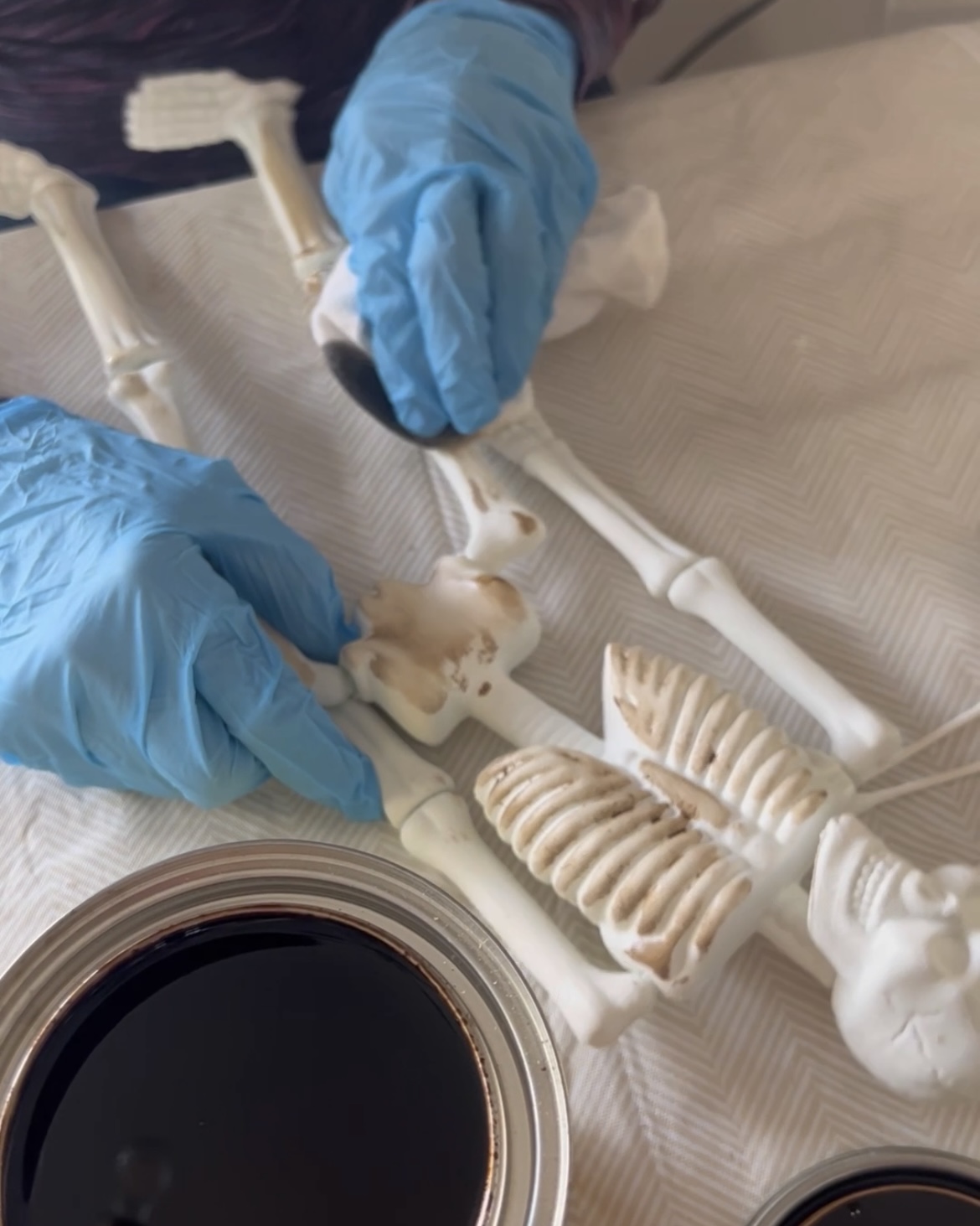 DIY Mini Caged Skeletons - Sunrise Valley Farm Co
